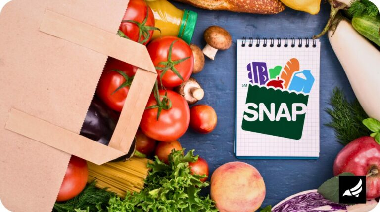 Millions of Americans Are Now Being Underpaid From SNAP Benefits • FrankNez